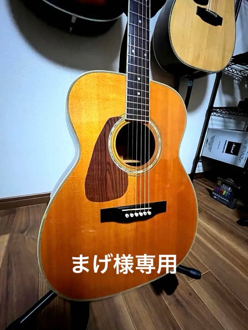 【まげ】morris MF653 レフティ