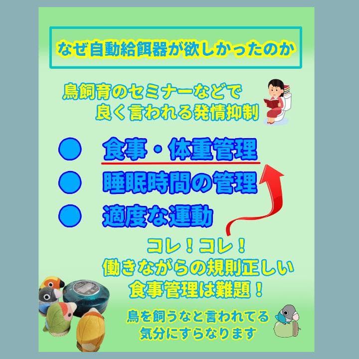 鳥専用自動給餌器（小粒用）