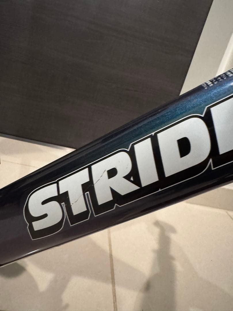 STRIDER Pro ストライダープロ 12インチ メタリックアクア