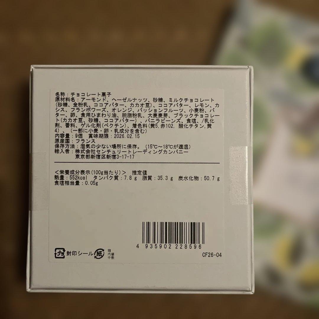 サロンデュショコラ2026 クリスティーヌフェルベール 9個入りアソート