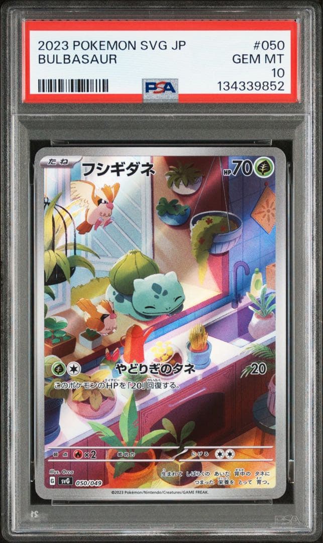 3連番 PSA10 フシギダネ AR ヒトカゲ AR ゼニガメ AR プロモ ②