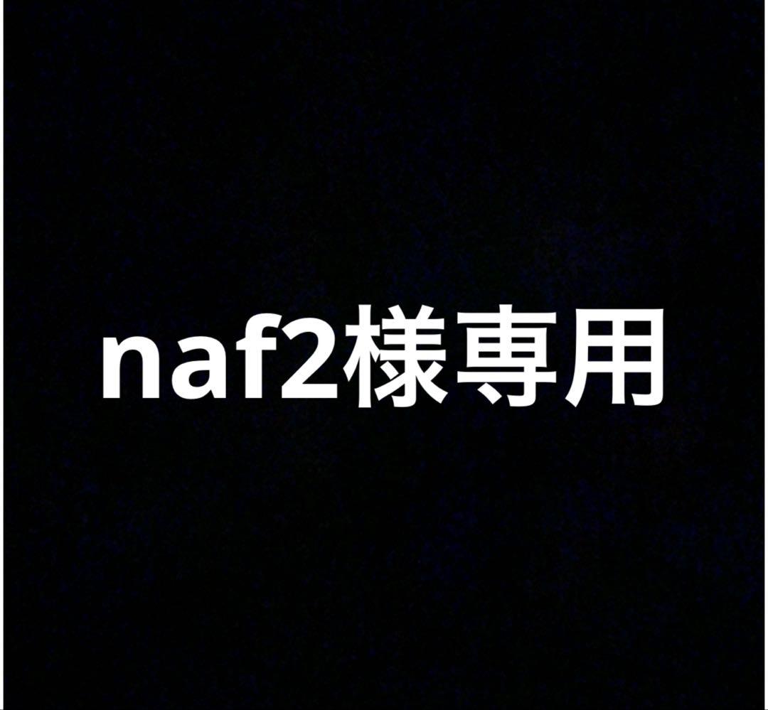 スキー naf2
