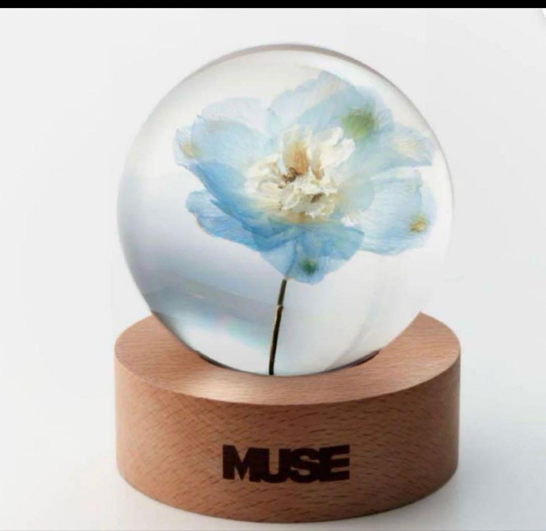 BTS ジミン MUSE ペーパーウェイト　PAPER WEIGHT
