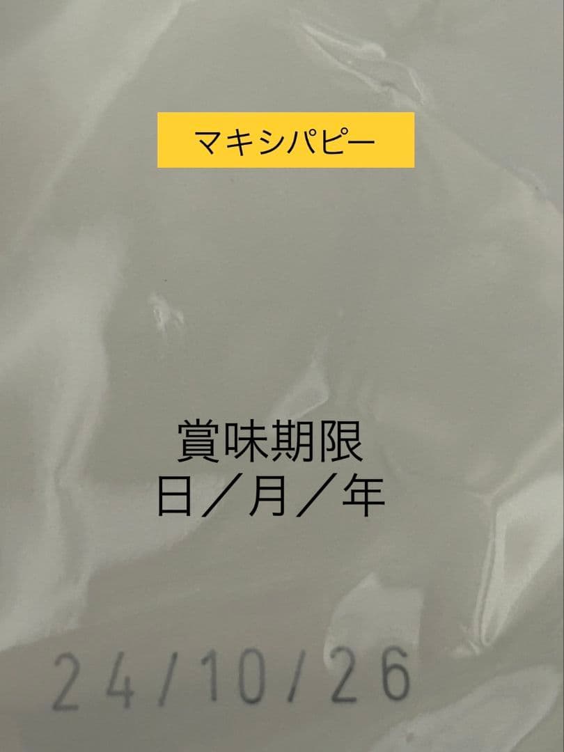  CANIN マキシパピー 16kg
