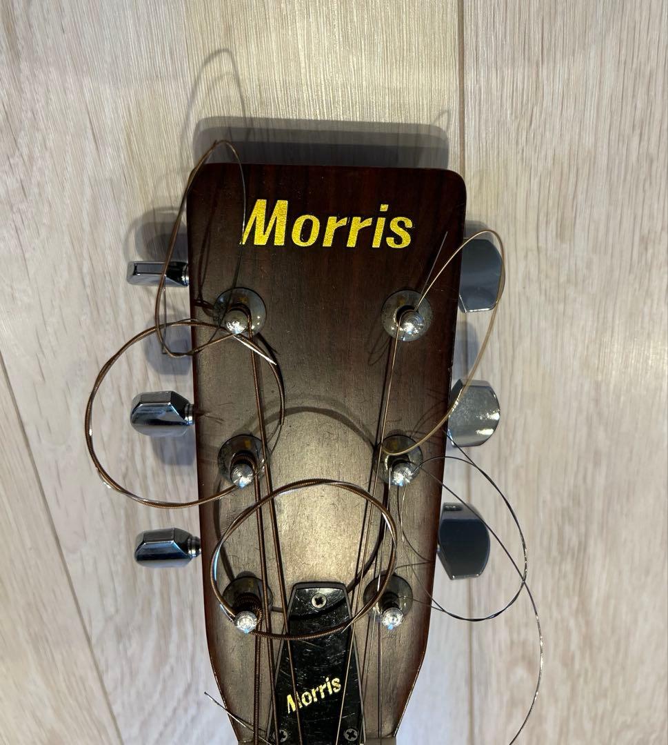 【MORRIS】 W-20