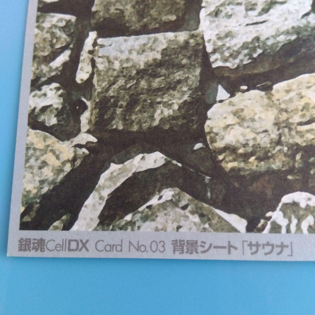 銀魂　土方十四郎　PHOTO　COLLECTION　Cell　DX