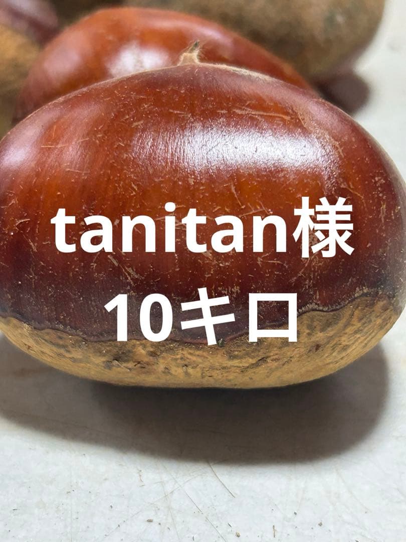 tanitan様 ご依頼分