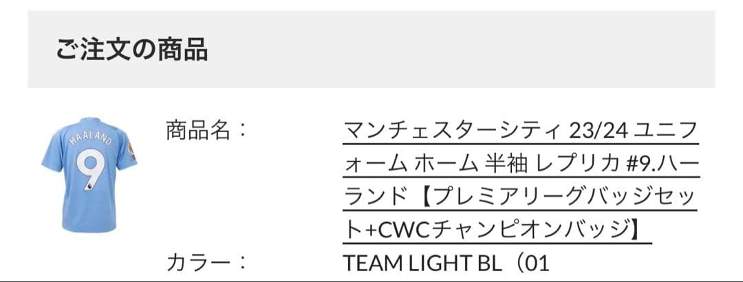 マンチェスターシティ 23/24 ユニフォーム 9.ハーランド