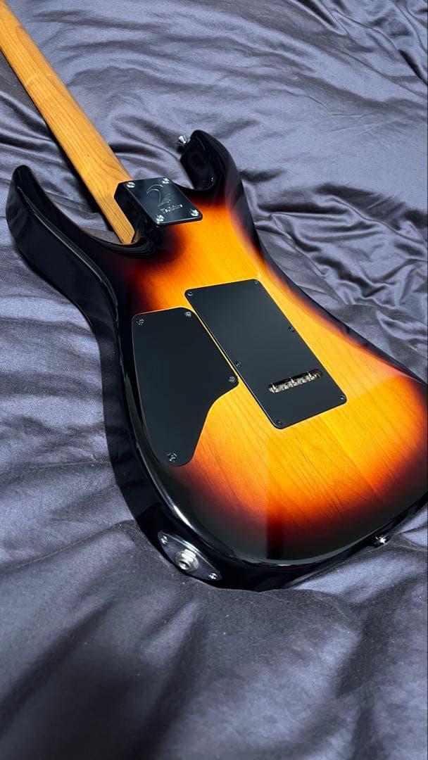 ギター T's guitars DST 24