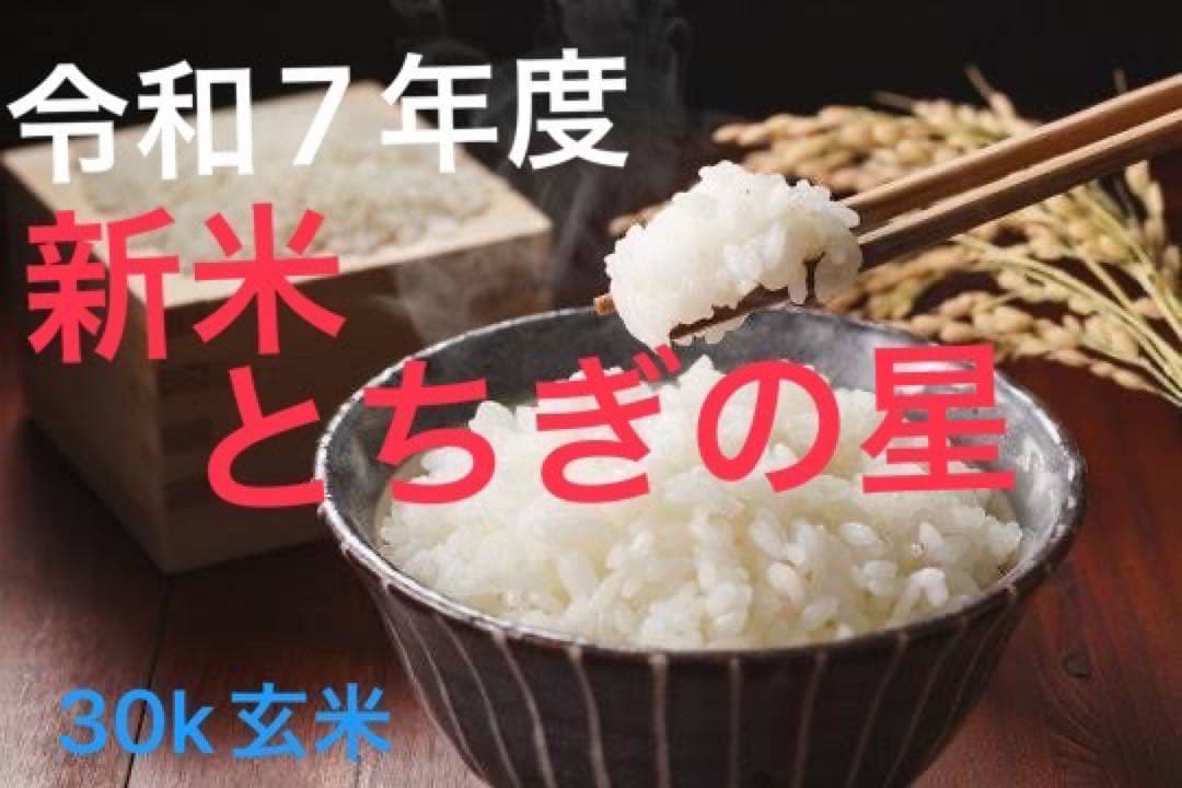 令和7年度　 とちぎの星　玄米　30k