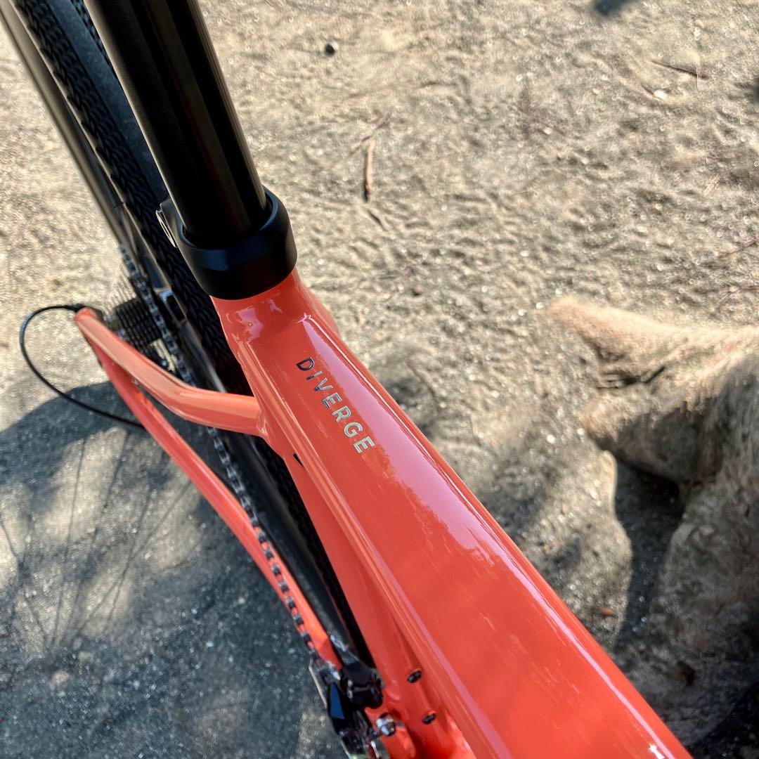 自転車本体 Specialized DIVERGE 2021