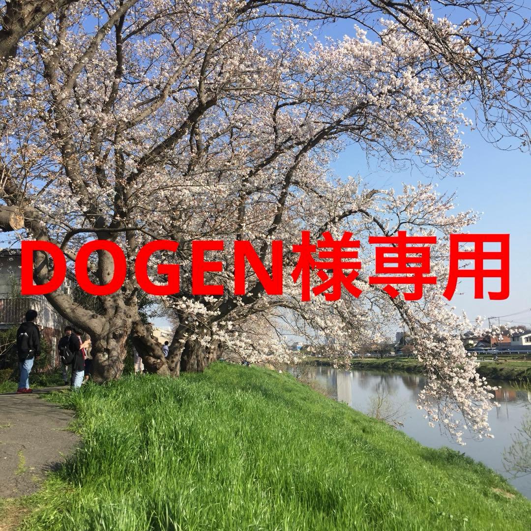 コミック・アニメ DOGEN