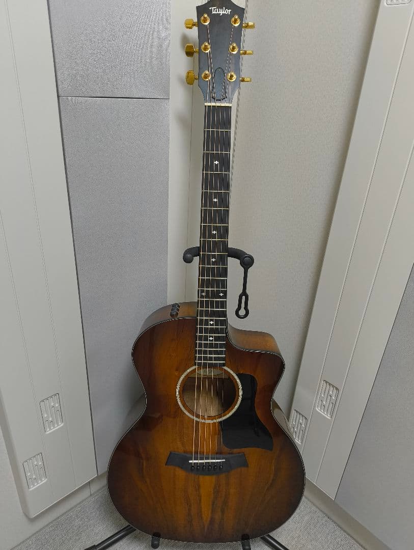 Taylor 224ce-Koa DLX　アコースティックギター