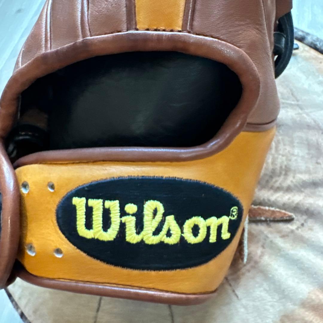 Wilson A2K 硬式用　DP15 11.5【日本未発売】ペドロイアモデル