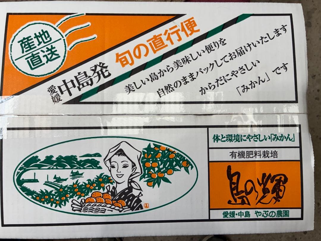 マリア　愛媛県松山市中島産まどんな(愛媛果試第28号)Lサイズ3kg 2箱