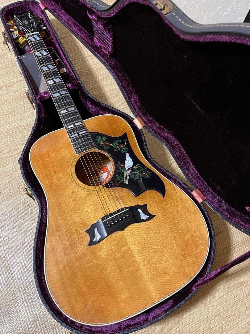 Gibson Dove 1973〜1975 年製　ビンテージ