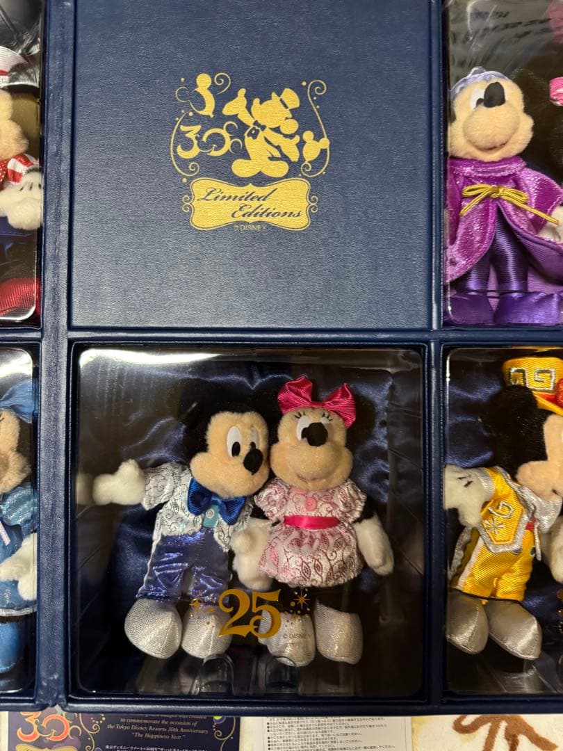 東京ディズニーリゾート30周年限定 ぬいばセット　ミッキー　ミニー　希少　レア