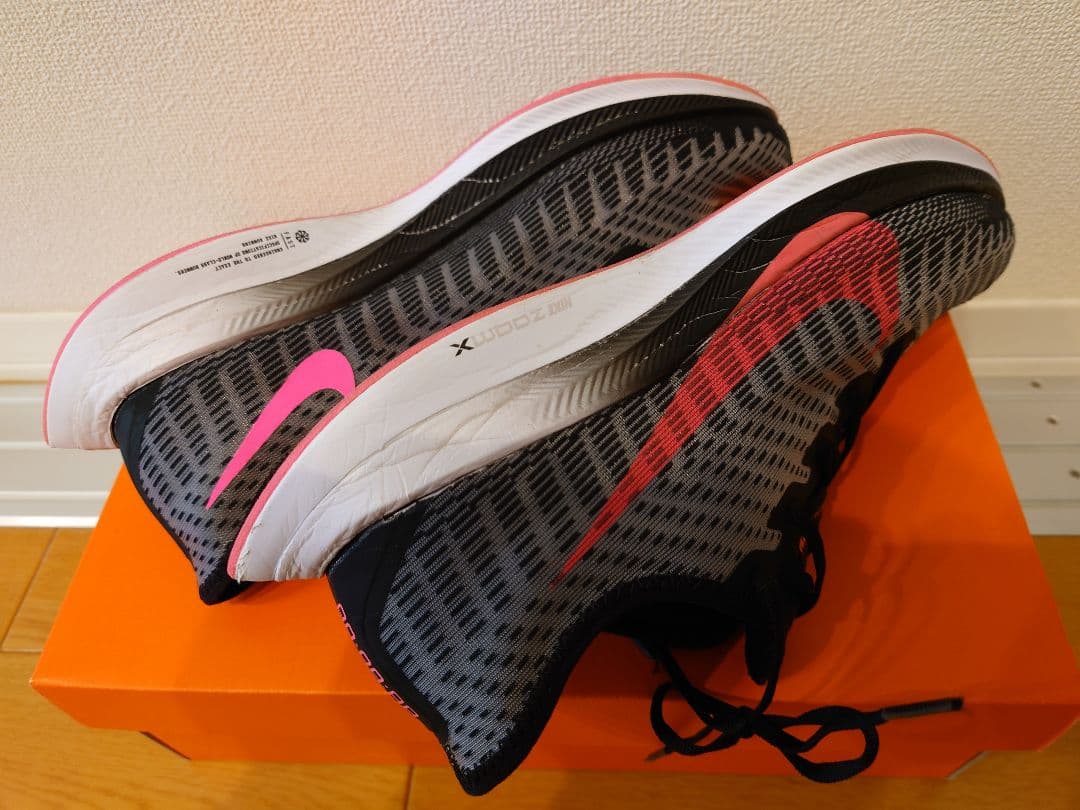 NIKE ナイキ pegasus tube2 27.5cm 中古