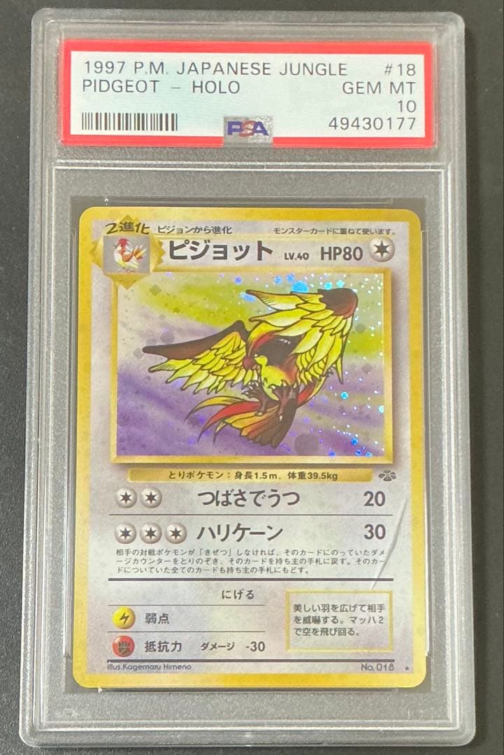 ※ケース傷あり PSA10 ピジョット 旧裏 ジャングル #18 ポケモンカード