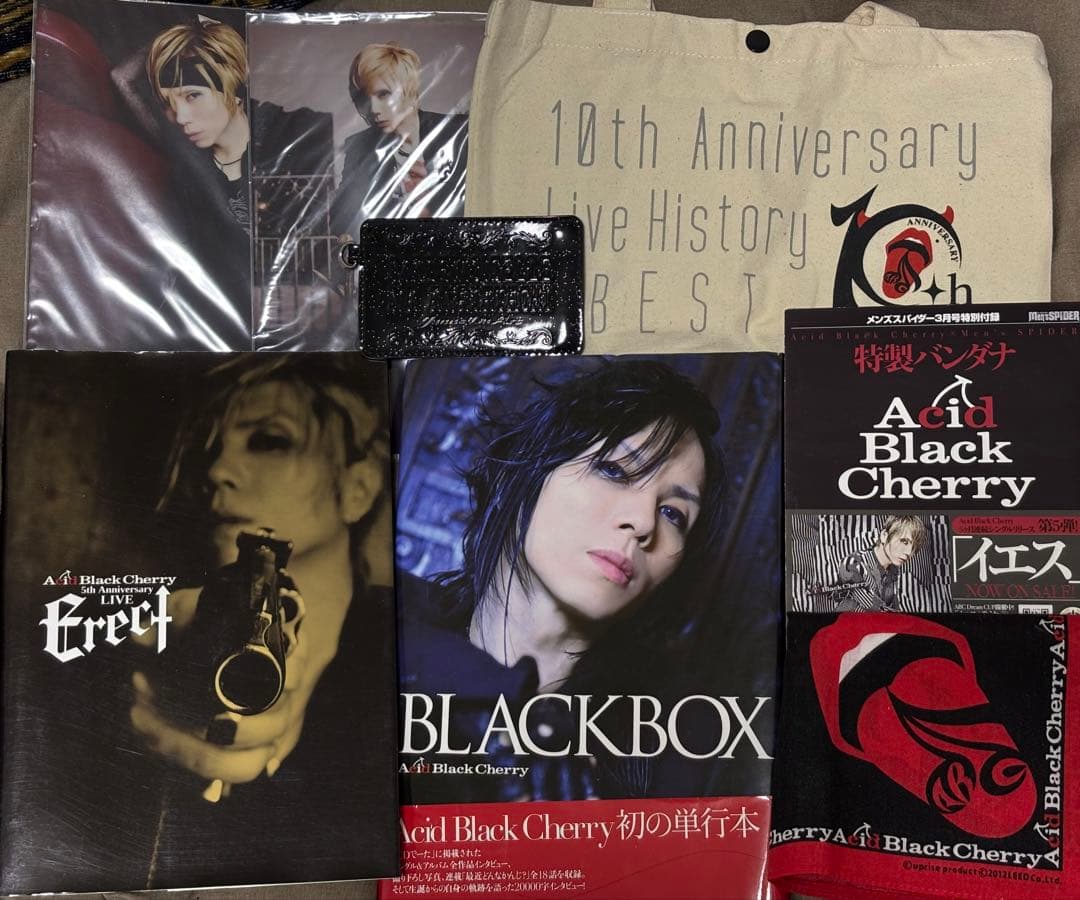 ℳ*︎様 Acid Black Cherry グッズセット