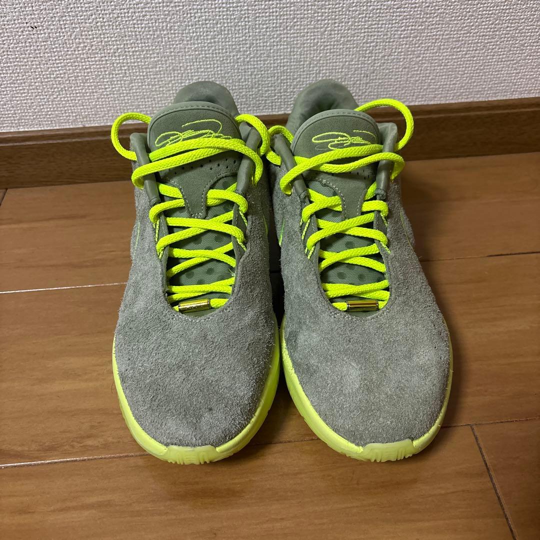 NIKE Lebron XXⅠ Algae ナイキレブロン21アルジー27cm