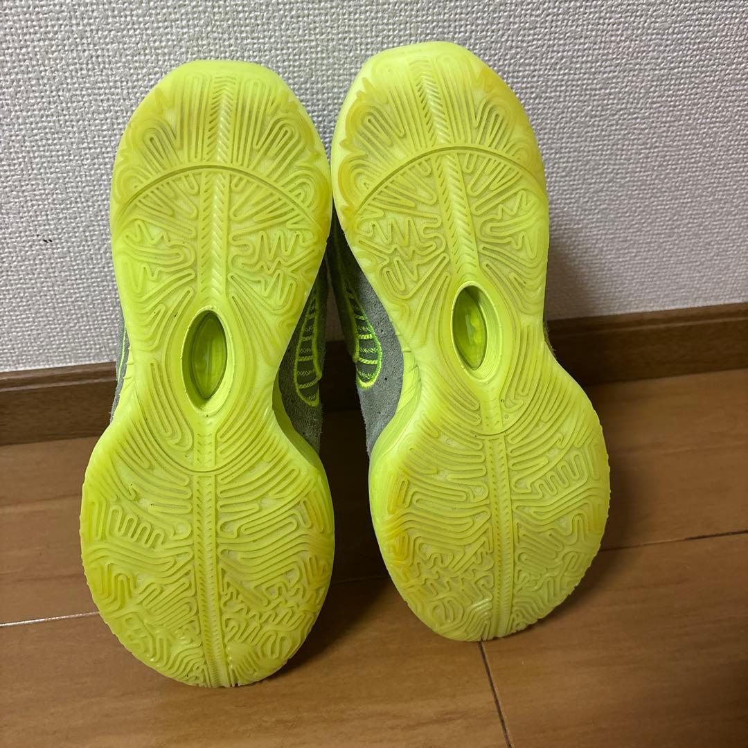 NIKE Lebron XXⅠ Algae ナイキレブロン21アルジー27cm