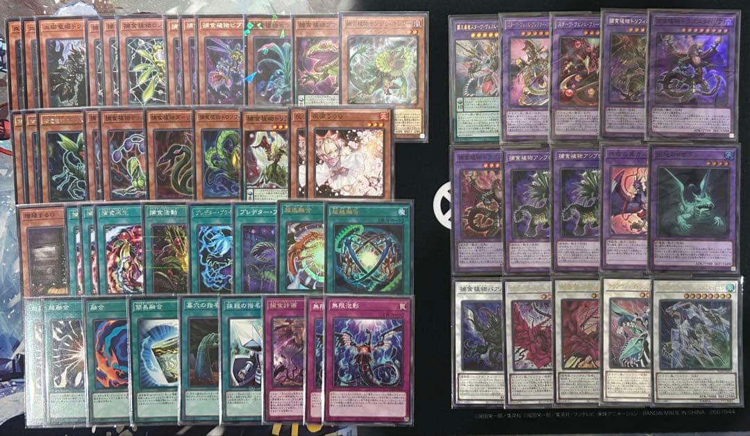 遊戯王　捕食植物デッキ　プレデタープランツ　新弾構築　即購入可　超逸融合