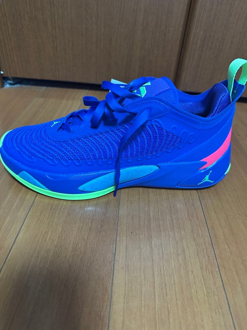 シューズ(男性用) JORDAN LUKA 1 PF 9.5