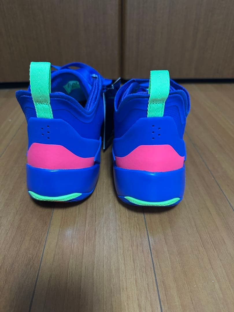シューズ(男性用) JORDAN LUKA 1 PF 9.5