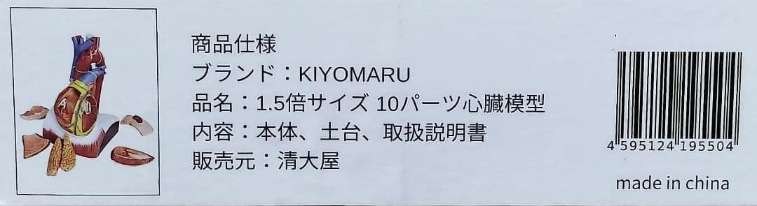 ⭐️新品 KIYOMARU 心臓模型 1.5倍大 10パーツ分解 医療 教育用途