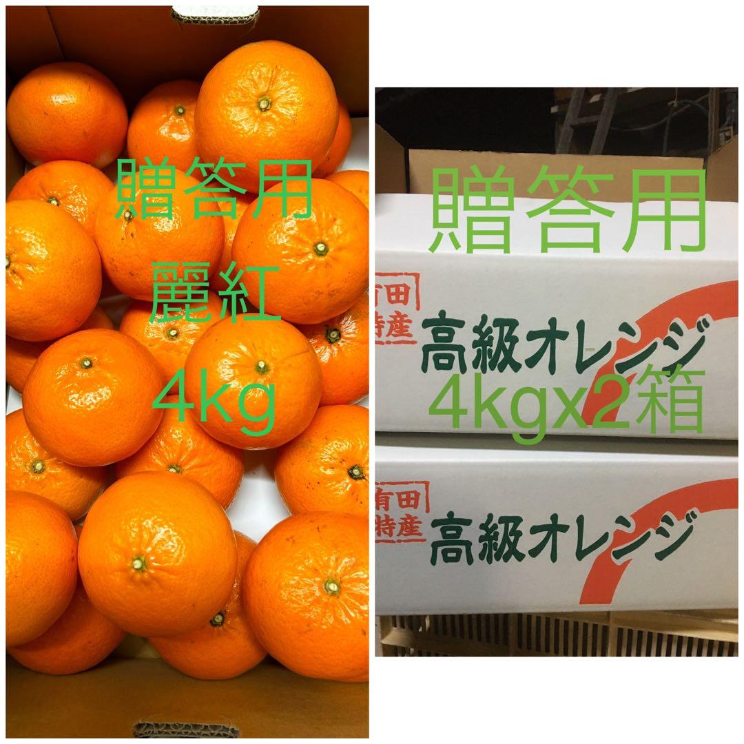 2箱セット贈答用 L4kg 有田みかん　和歌山県産　せとか姉妹品種　甘くて濃い味