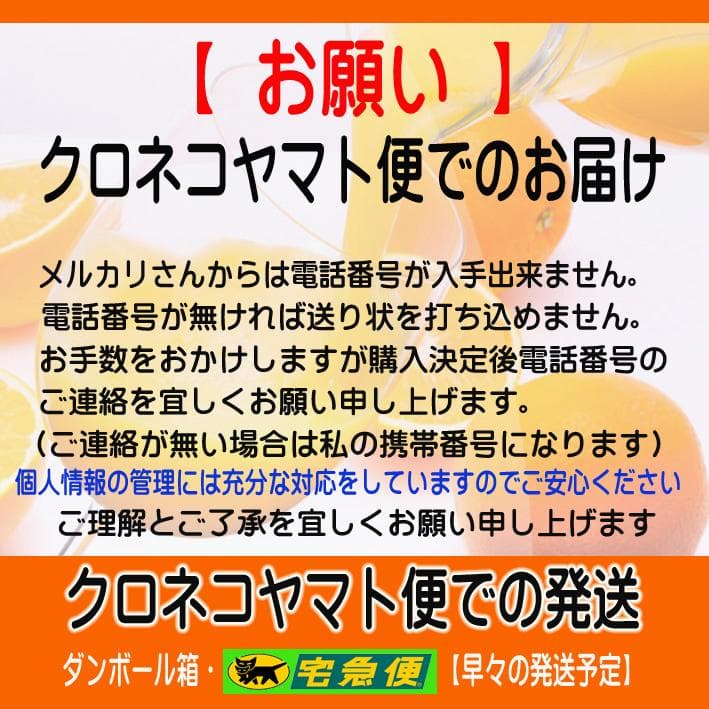 【あんこ】SUIGUNマドンナL玉10Kg×1箱+3Kg×1箱　２か所送り
