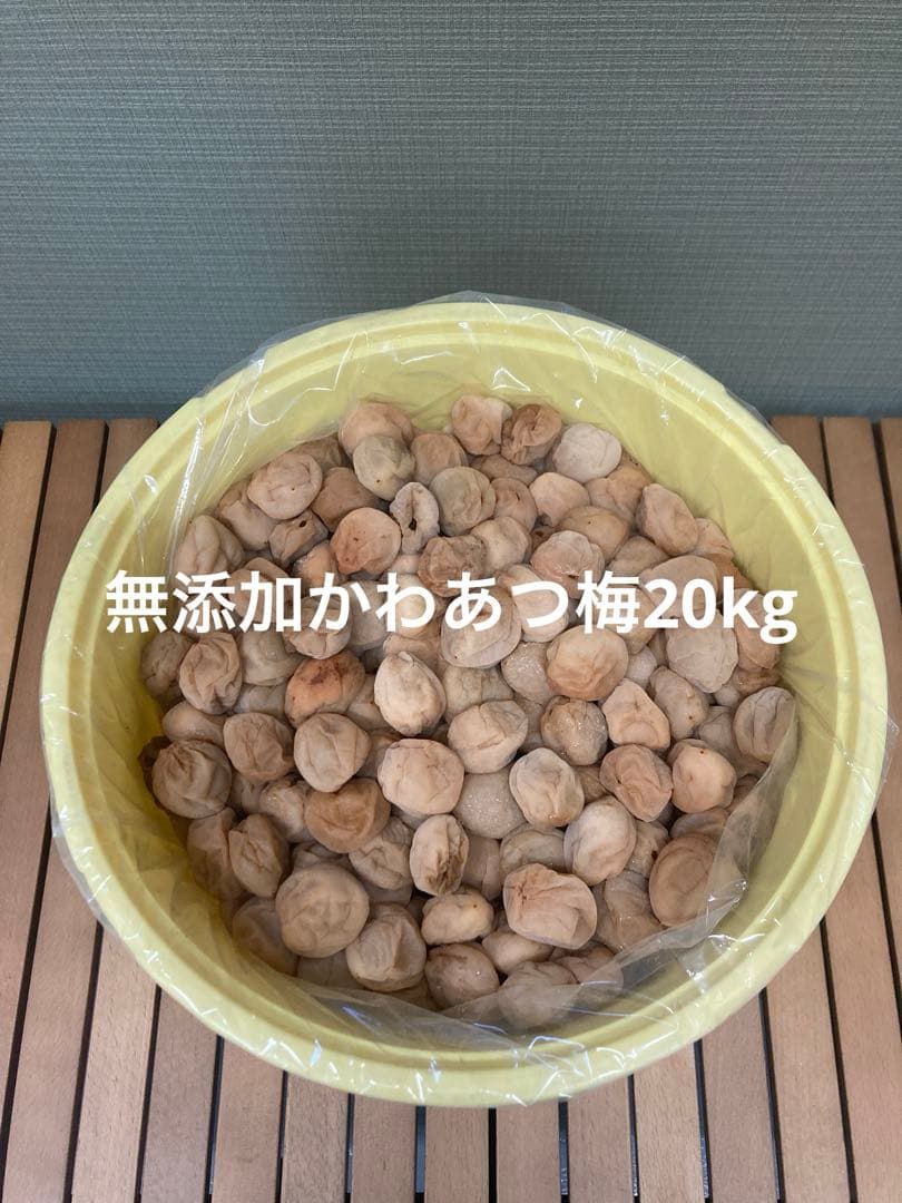 無添加かわあつ梅20kg 白干し梅