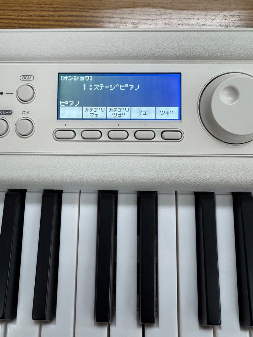 CASIO カシオ　光ナビゲーションキーボード　LK-530　純正ペダル付き