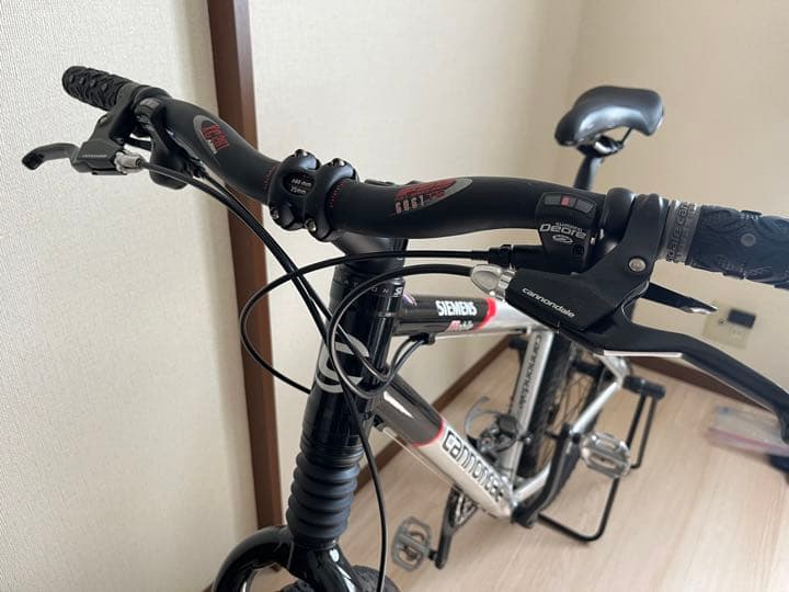 CANNONDALE furio SIEMENS Mobile チームレプリカ