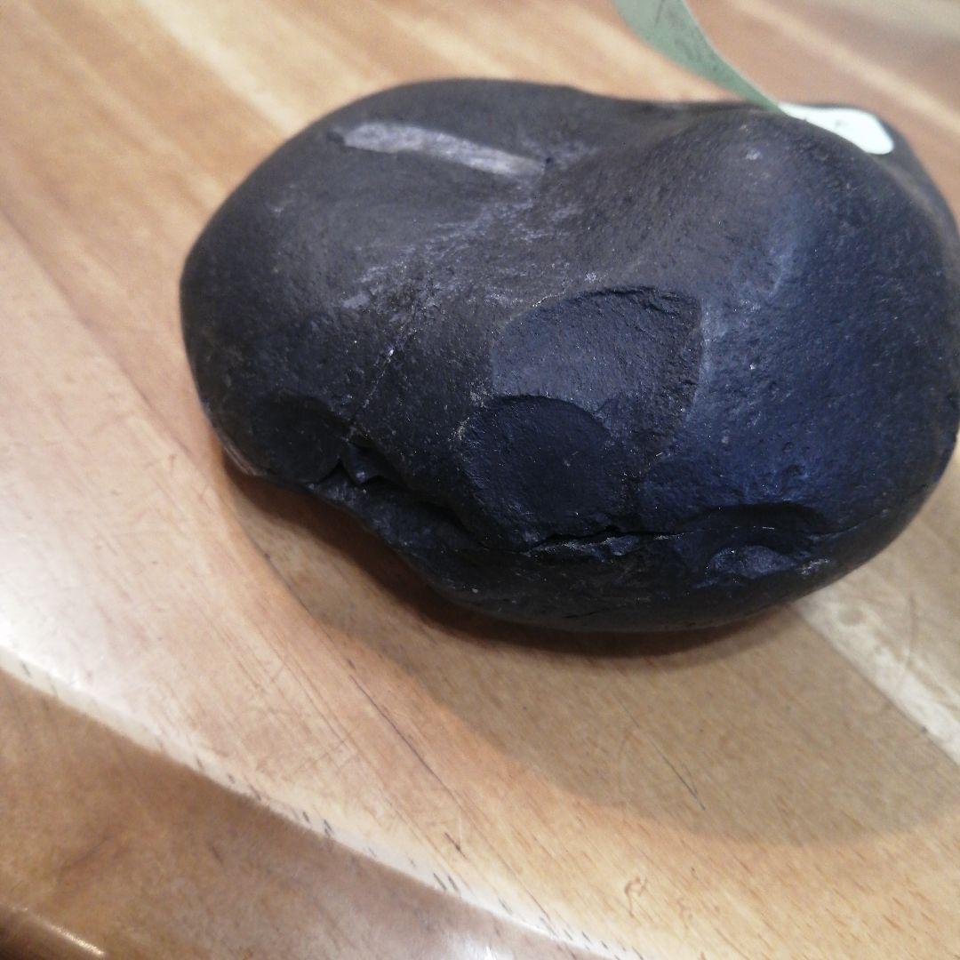 #671 黒いアンモナイト化石 上下セットネパール ヒマラヤ標高3800m