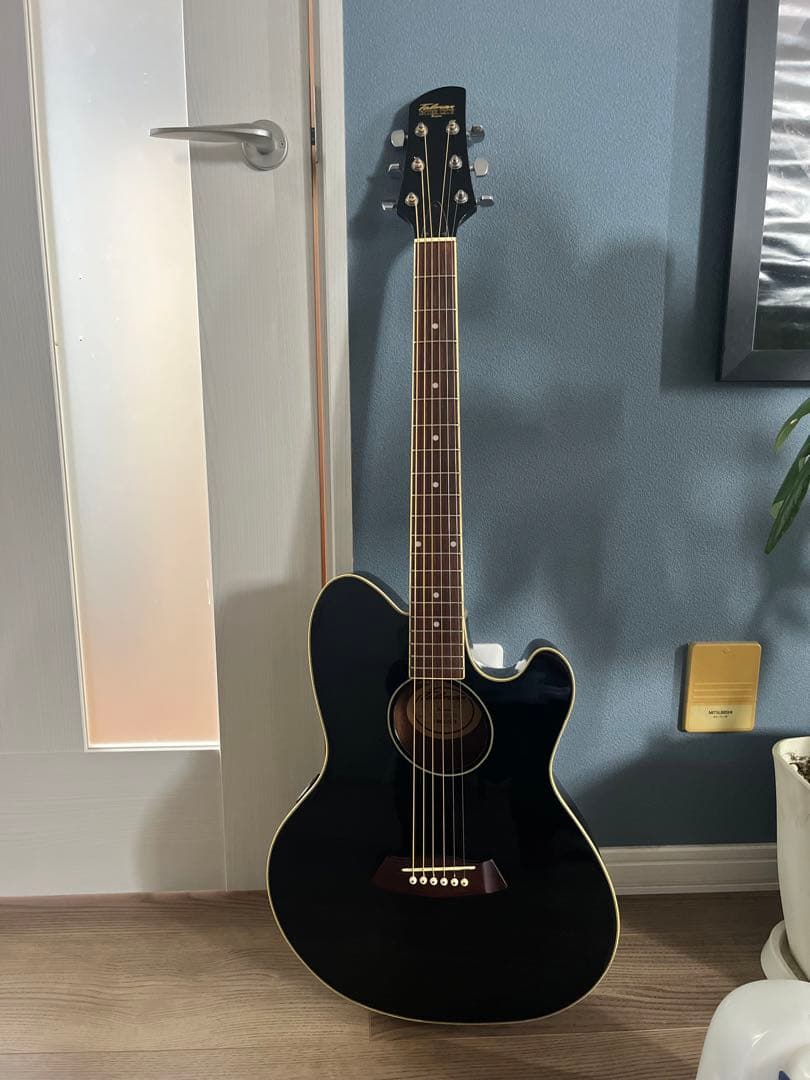 Ibanez Talman TCY10 エレアコ