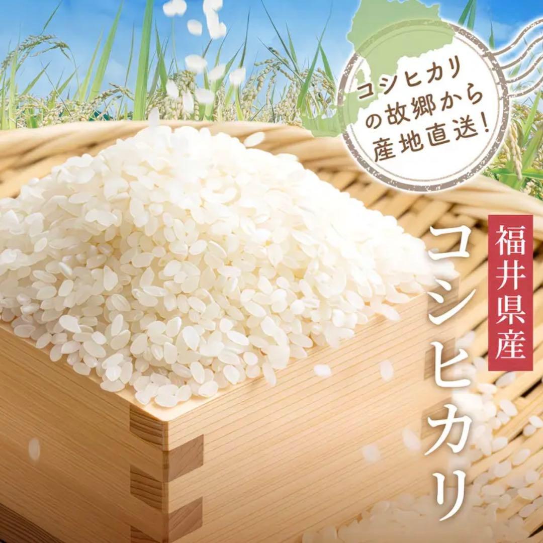 コシヒカリ　福井米　令和7年米　新米　15kg 無洗米