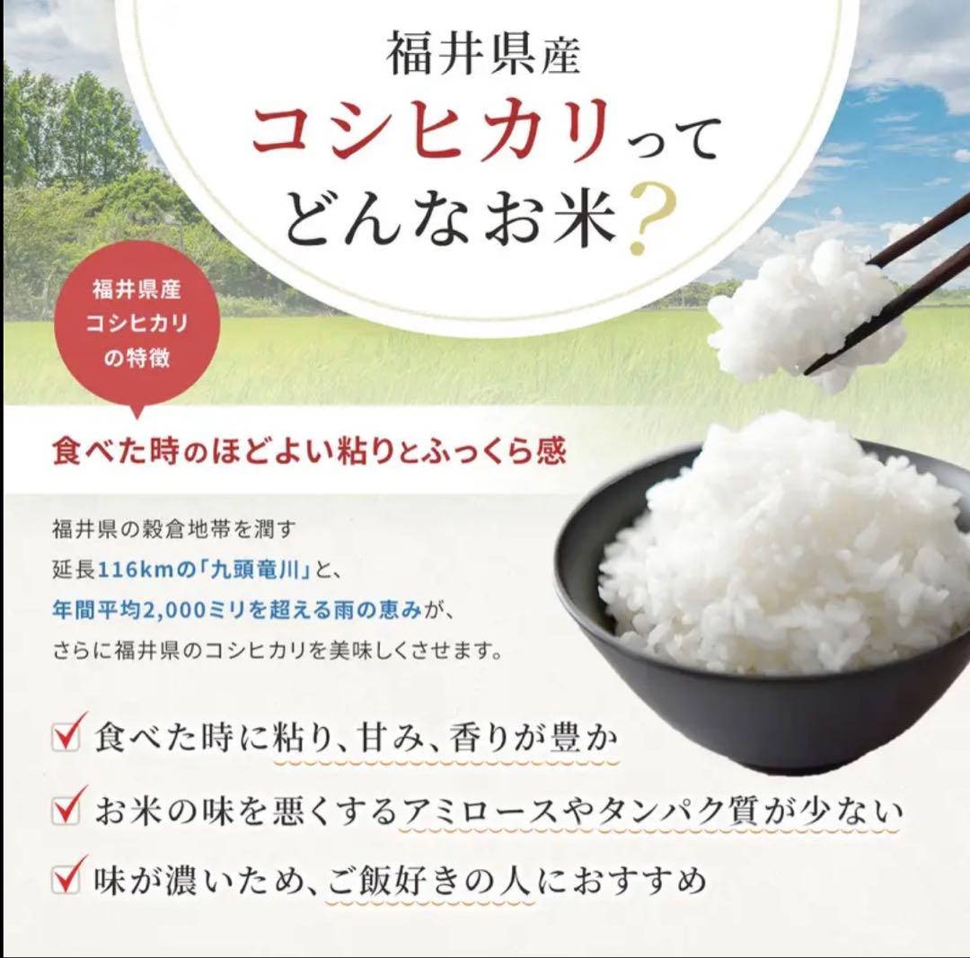 コシヒカリ　福井米　令和7年米　新米　15kg 無洗米