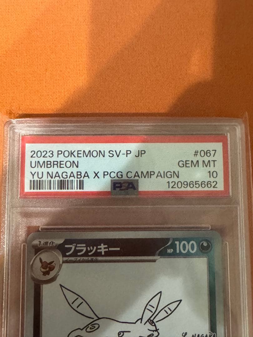 ★PSA10★ ナガバブラッキー プロモ ポケモンカード