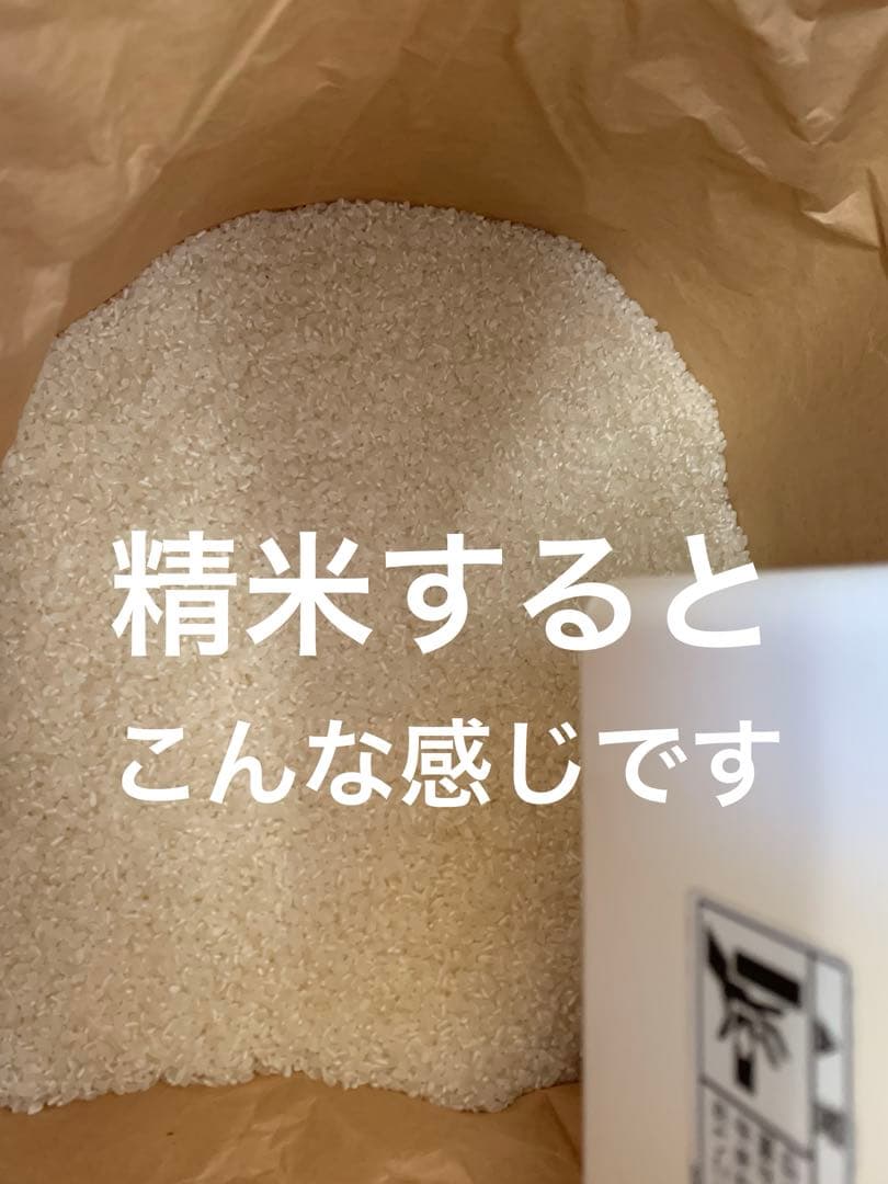 令和7年度産　新米　ヒノヒカリ玄米10kg(送料込)減農薬のお米