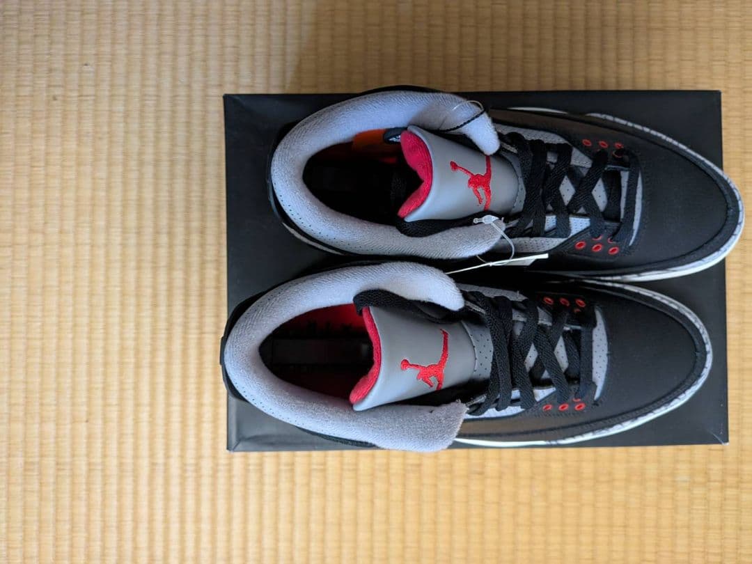 アイドル Air Jordan 3 Black Cement