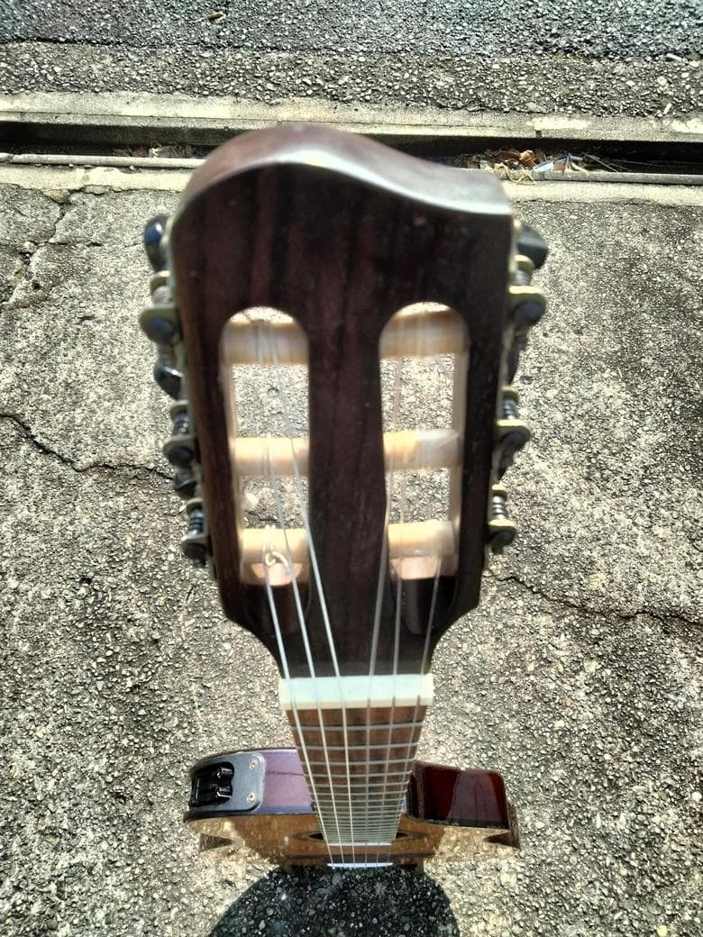 ギター Variax Acoustic 300 Nylon