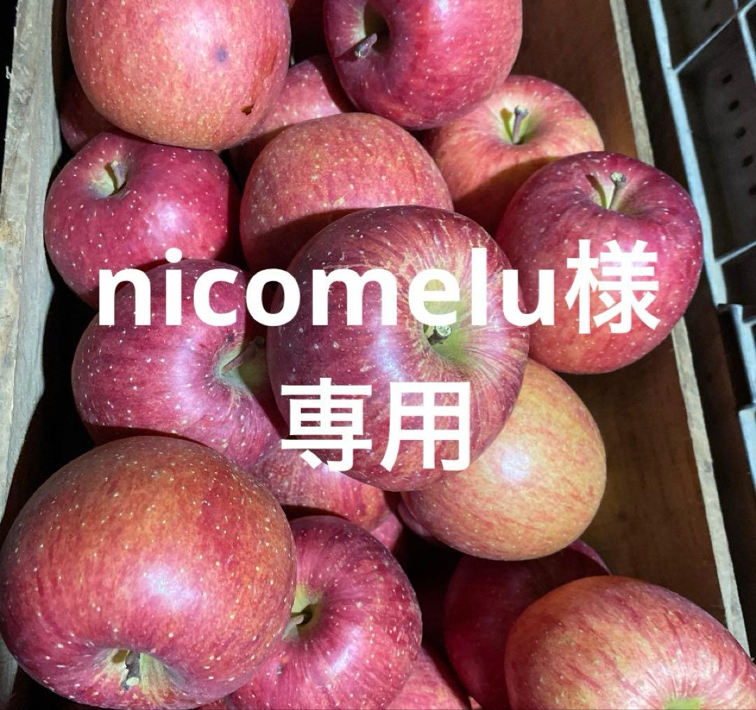 nicomelu5キロ同梱