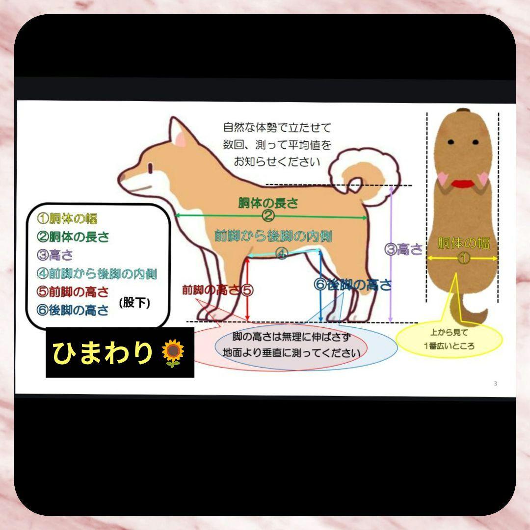 M.ワイヤーダックス4輪　リハビリ　食事補助　犬用車椅子　歩行補助　犬の歩行器