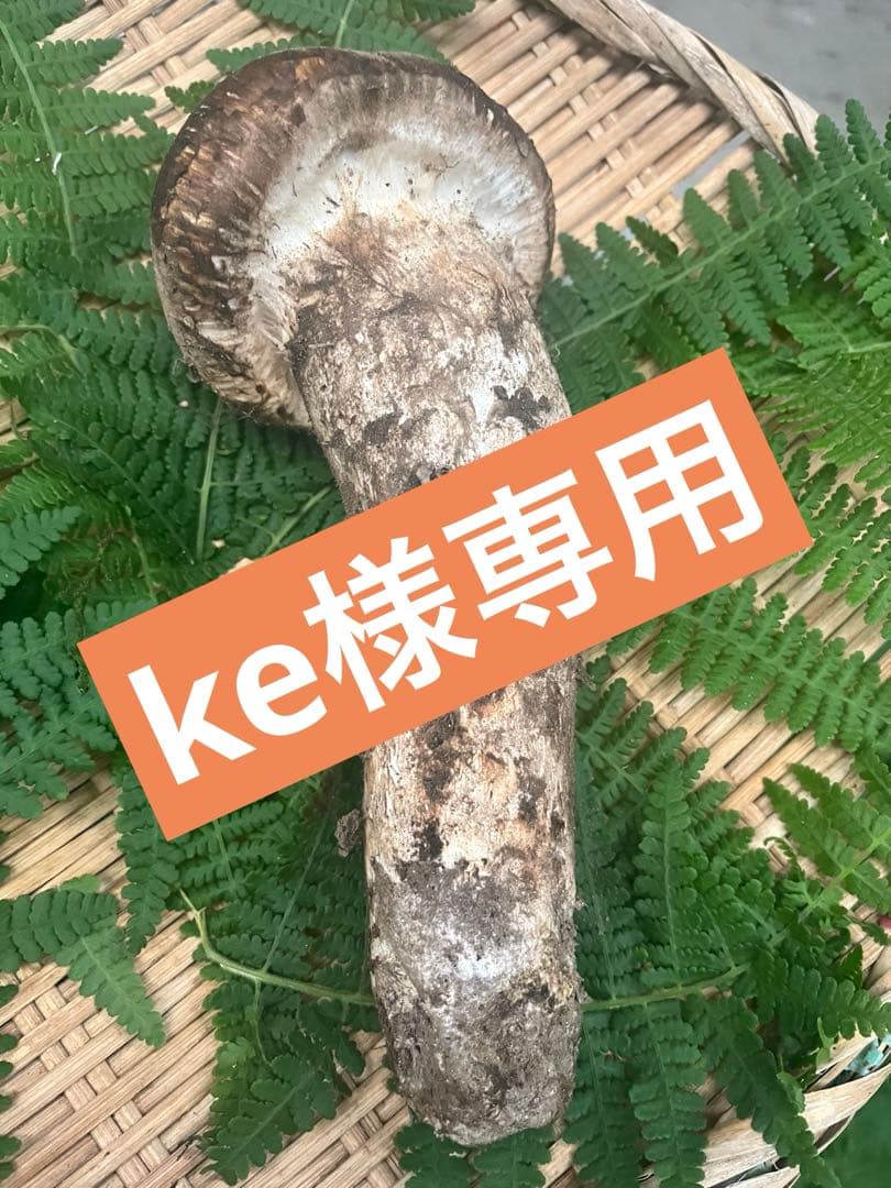ke おまとめ出品
