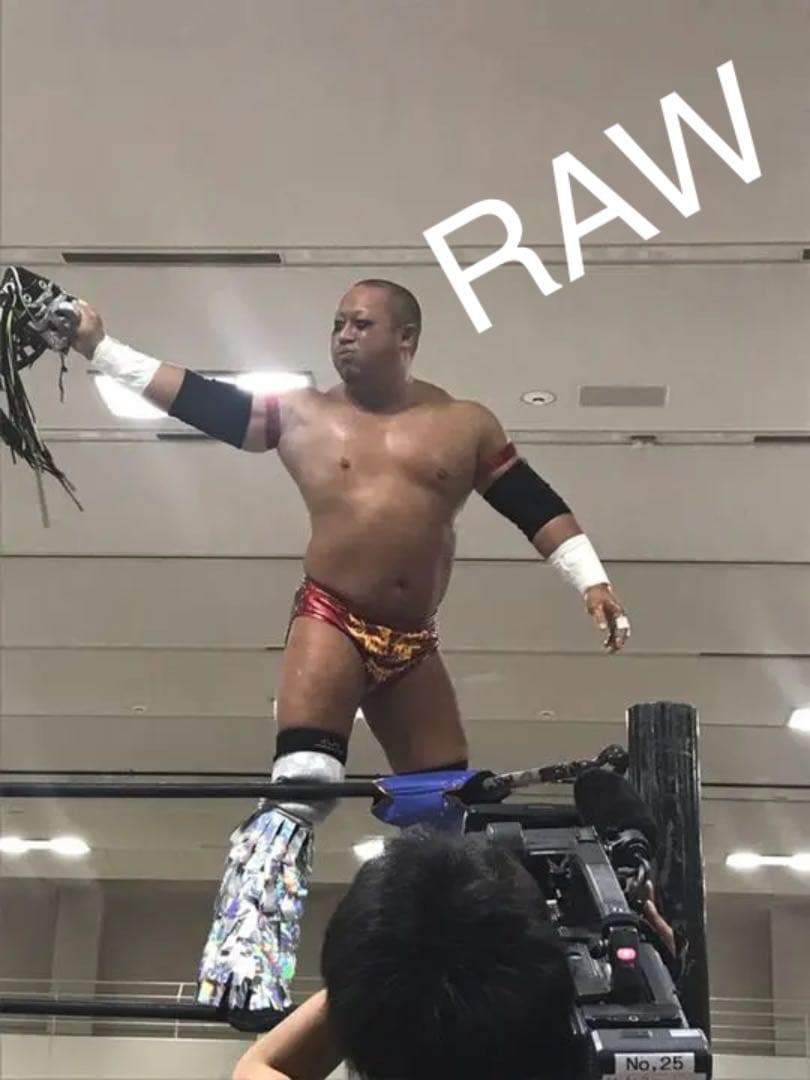 プロレス ドラゴンゲート マスク 吉田 隆司 サイバー コング 実物 本物