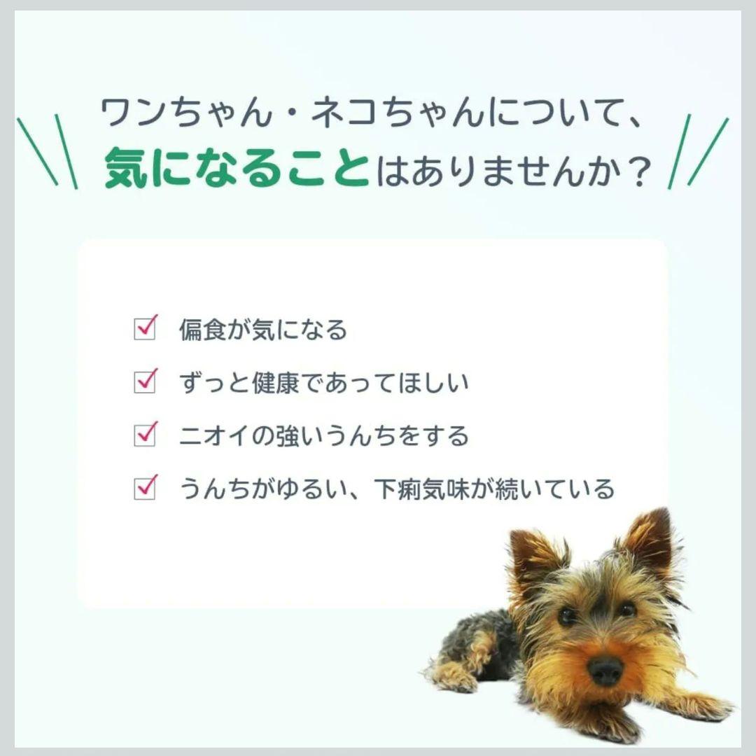 ロイテリ 乳酸菌 犬猫用リキッド Dog&Cat 5mL