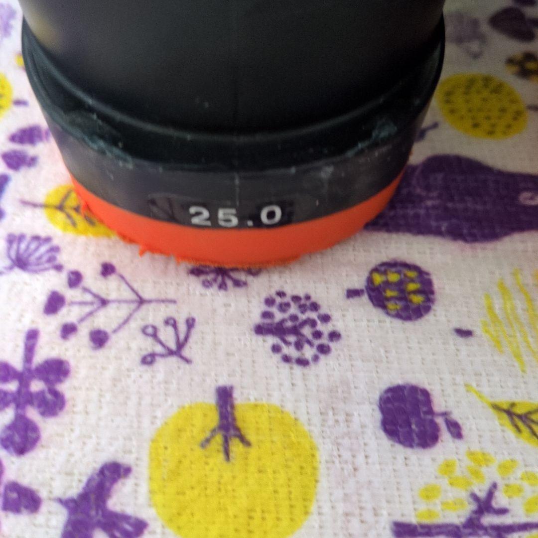 TECNICA 男性用スキーブーツ 25.0