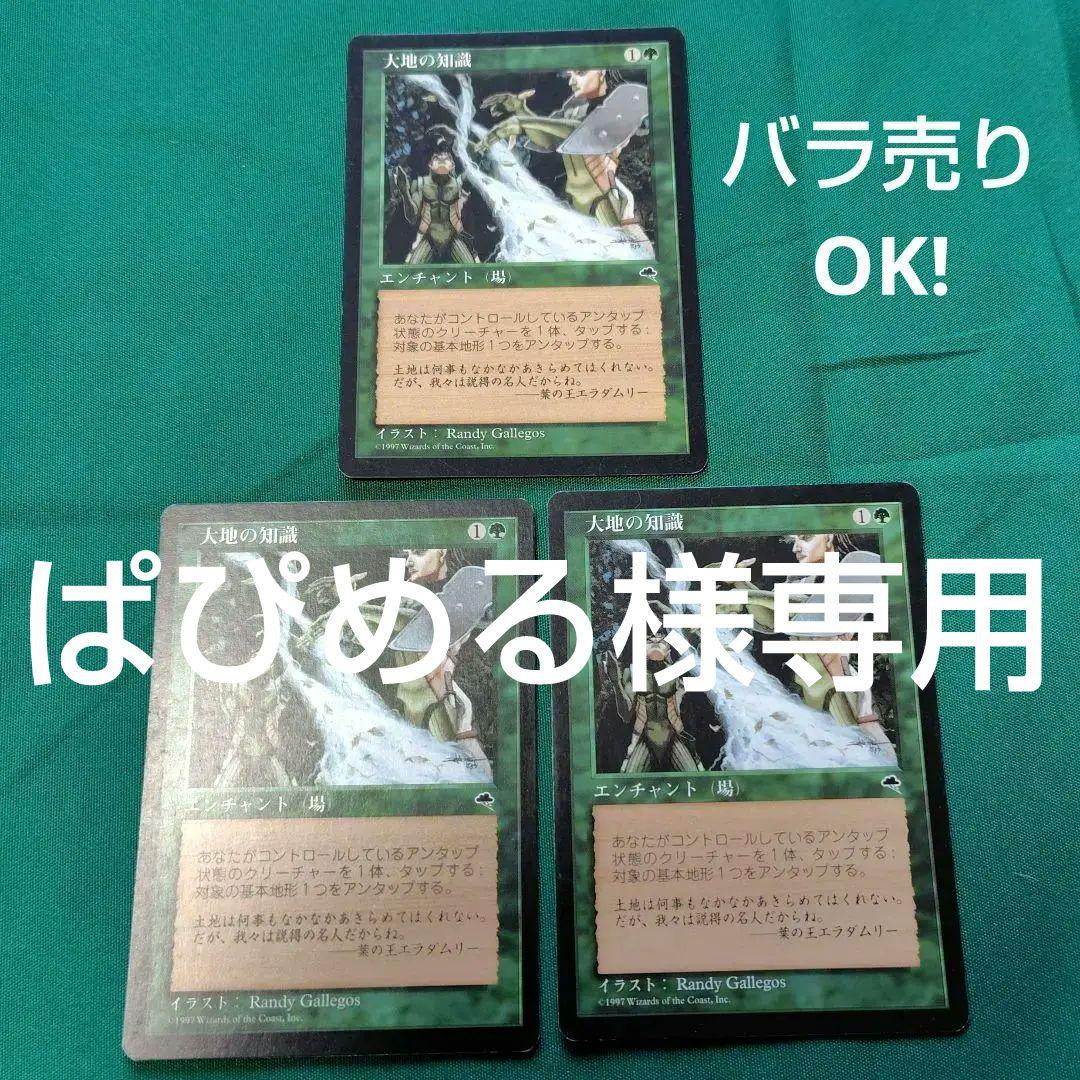 MTG 大地の知識 ２枚セット